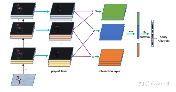双线性池化（Bilinear Pooling）详解、改进及应用-CSDN博客