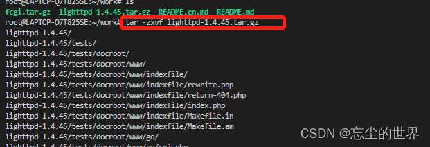 【章节 一】嵌入式Web Server Lighttpd安装、配置、开发详细流程_嵌入式webserver-CSDN博客