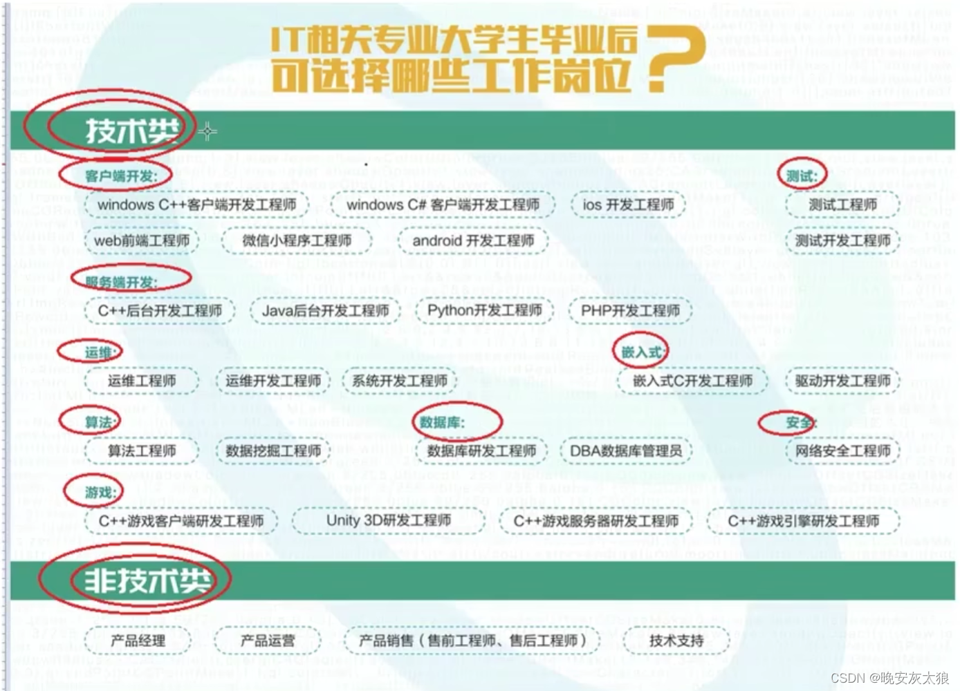 【c语言】指针、数组和函数c语言数组结构体函数指针 Csdn博客