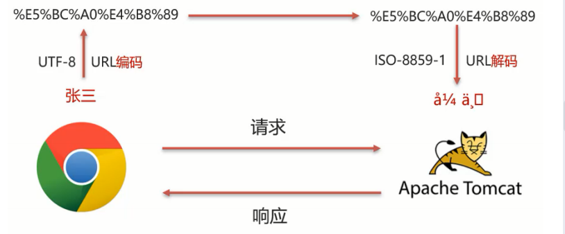 Request & Response_封装响应数据的对象-CSDN博客