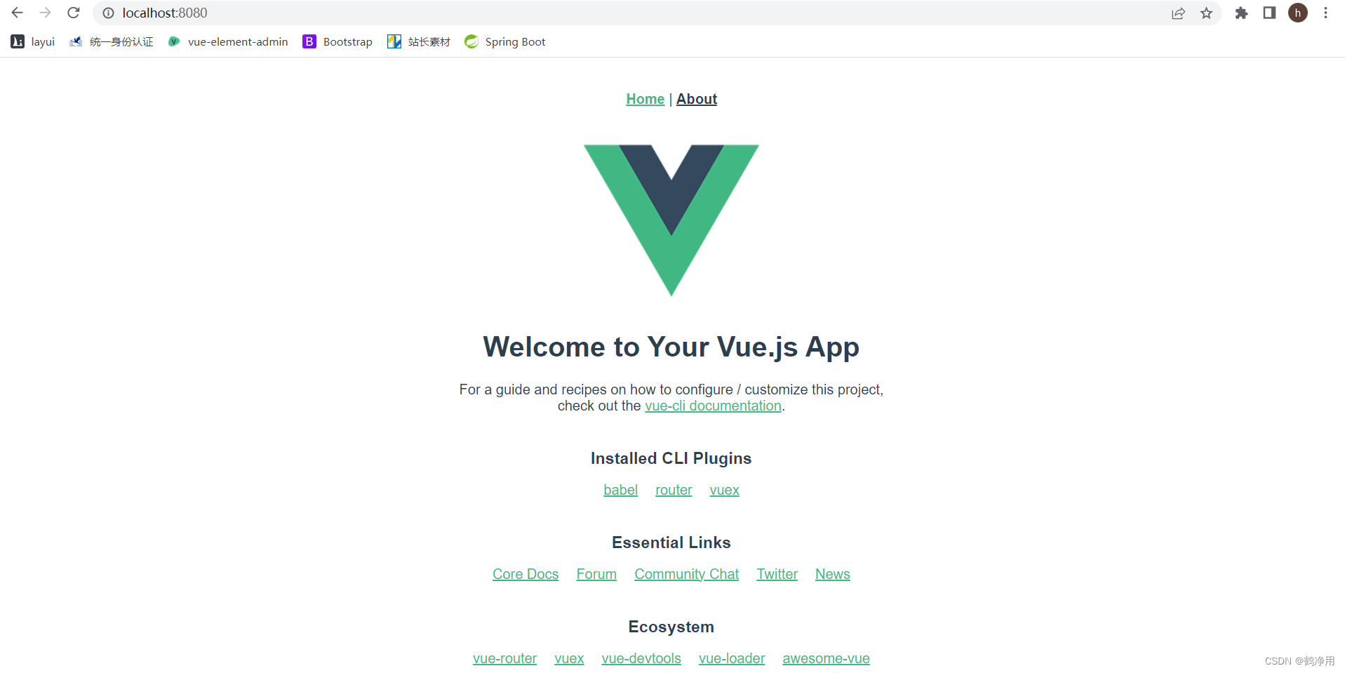 搭建vue项目(保姆级教程)搭建 Vue爱你过目 Csdn博客 0649