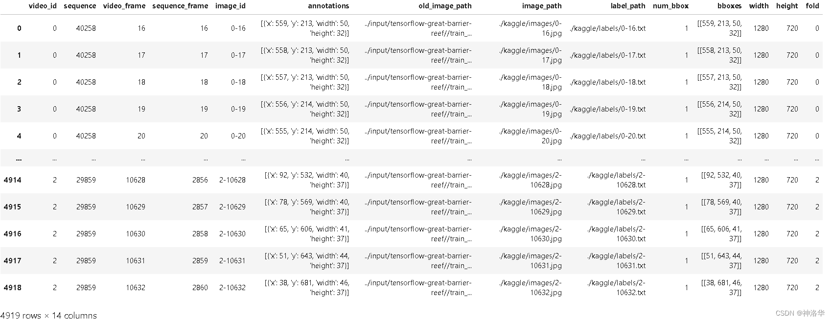 Kaggle——海星目标检测比赛_kaggle目标检测比赛-CSDN博客