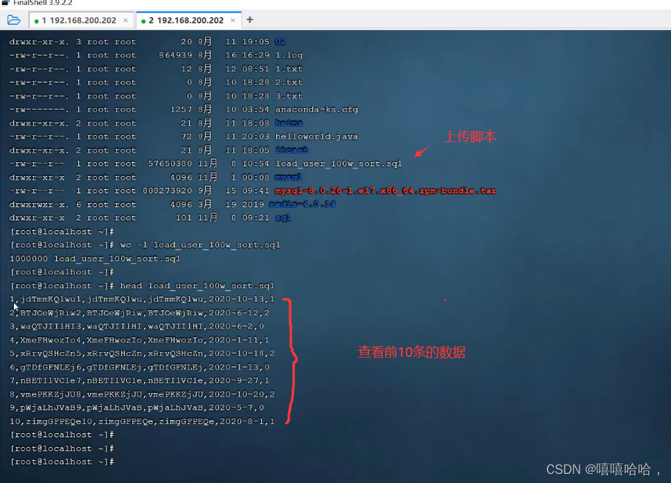 89 32 进阶 Sql优化 插入数据 Csdn博客