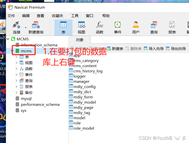 navicat 将数据库打包成.sql文件_navicate数据打包-CSDN博客