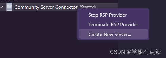 Unable to start the server: Extension backend error - rsp error - community server connector ...