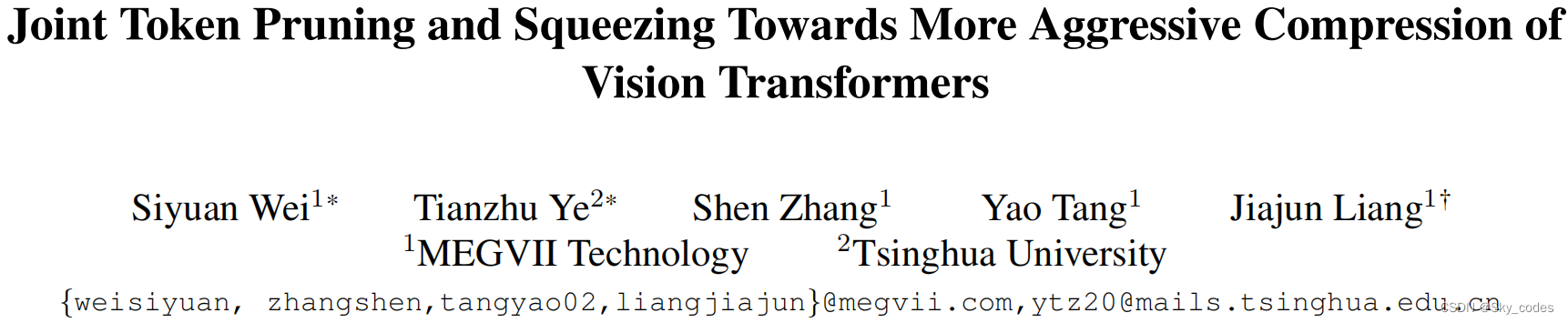 Joint Token Pruning and Squeezing Towards More Aggressive Compression of Vision Transformers-CSDN博客