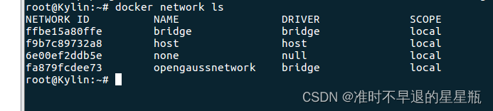 麒麟4（Ubuntu）环境下通过docker搭建OpenGauss主备机，实现主备同步、主备切换_openguass 主备切换 数据同步-CSDN博客