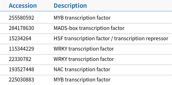 筛选鉴定与已经基因启动子相互作用的DNA结合蛋白-DNA Pull Down实验原理，技术流程_pull down结果图怎么看-CSDN博客