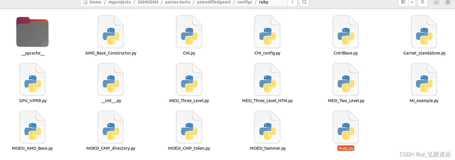 GEM5 fs.py 代码解读 命令行解读_num-dirs-CSDN博客