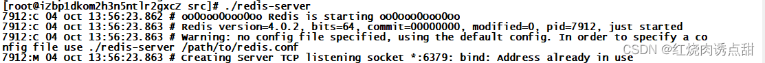 linux:redis安装、报错 oO0OoO0OoO0Oo_oo0ooo0ooo0oo redis is starting oo0ooo0ooo0oo-CSDN博客