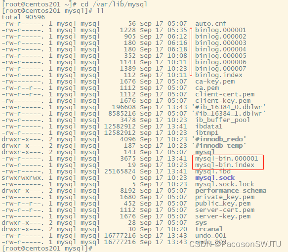 2.canal服务器配置及java客户端_服务器配置升级导致canal-CSDN博客