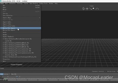MotionBuilder与NOKOV度量动捕系统连接教程_motionbuilder 导出数据-CSDN博客