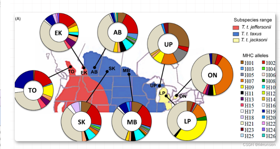 R语言：饼图系列-类别变量_r语言分类变量百分比-CSDN博客