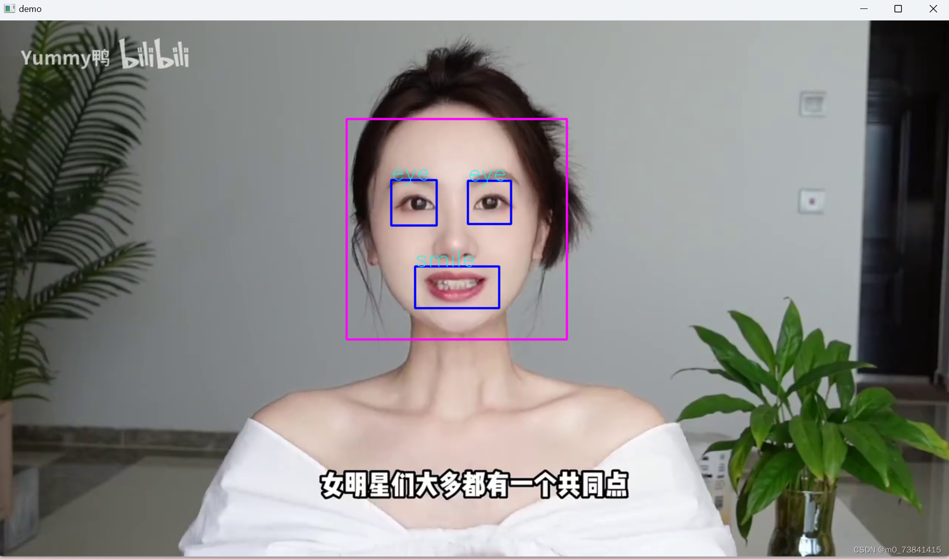 基于opencv人脸识别+笑容识别+眼睛识别（视频）_使用haar分类器对人脸进行检测,并检测出眼睛和是否微笑-CSDN博客