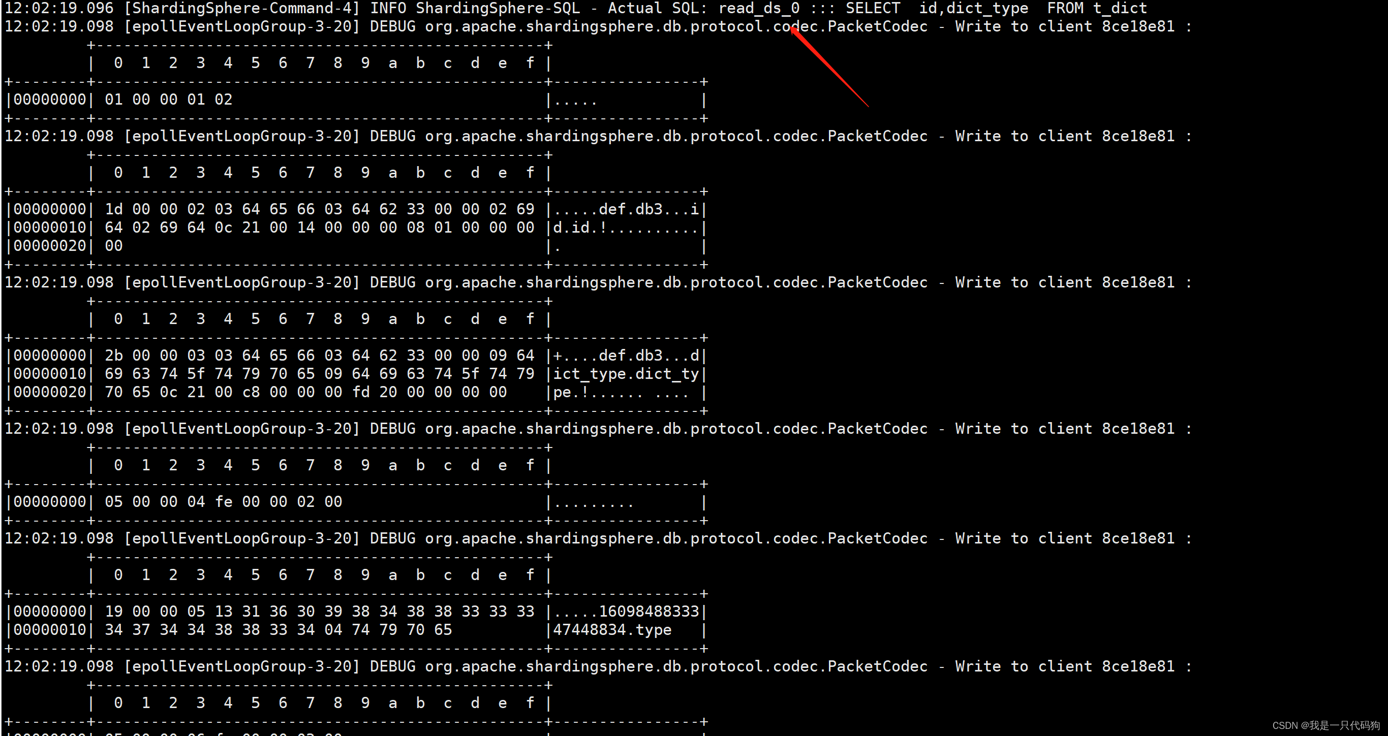 ShardingSphere5入门教程-CSDN博客