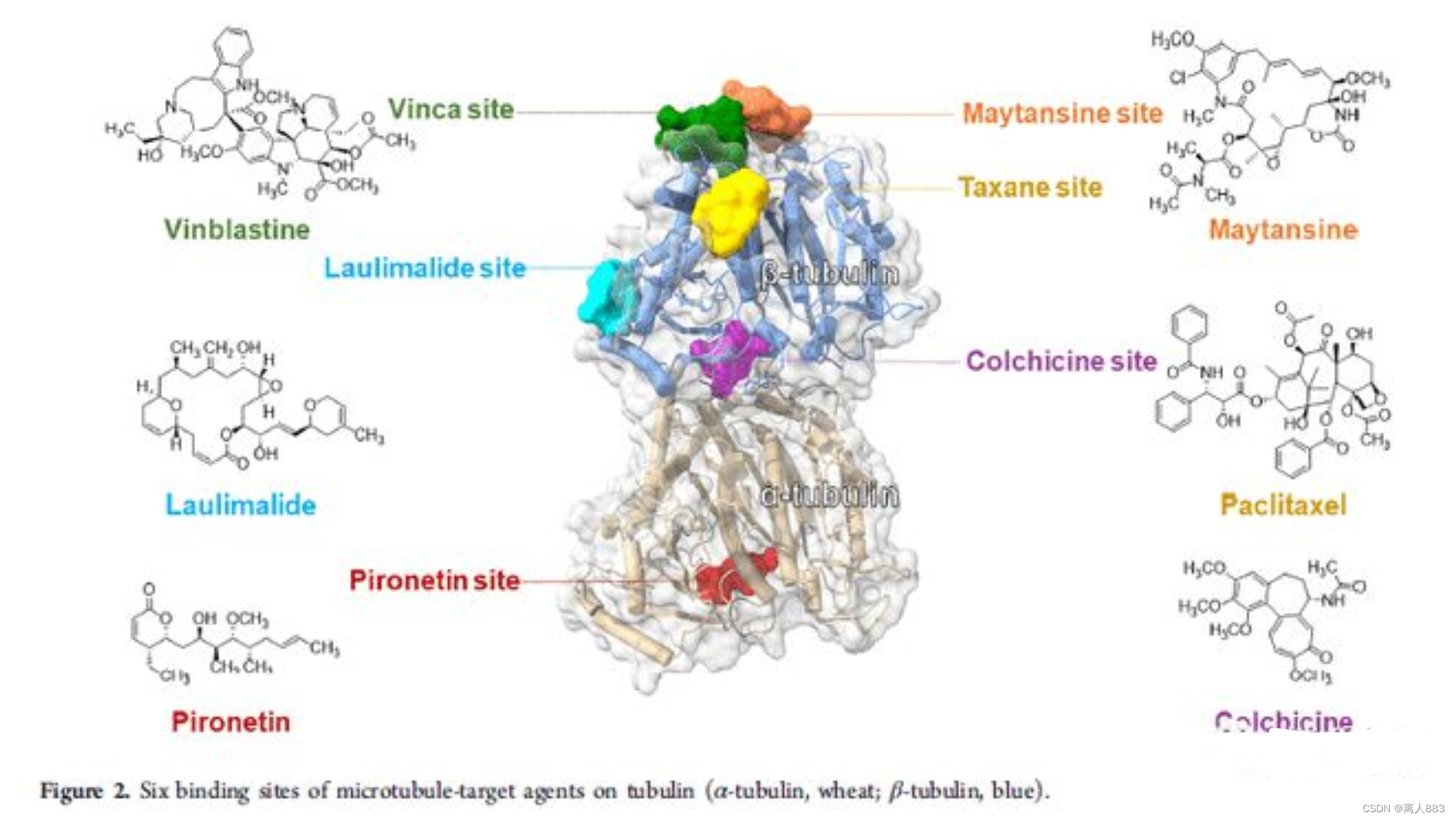 论文解读+代码复现【AIDD】贝叶斯、决策树、随机森林+2种机器学习模型在癌症治疗药物发现中的应用_离人883的博客-CSDN博客