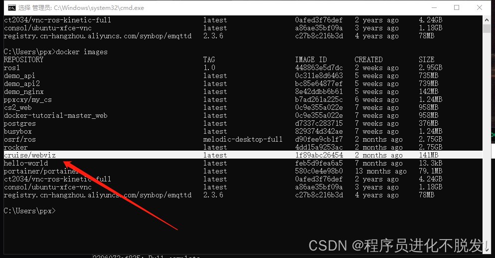 docker 下使用Webviz（一）-CSDN博客