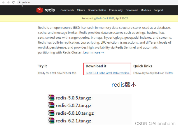 Linux服务器Redis安装启动---centos7_centos后台启动redis-CSDN博客