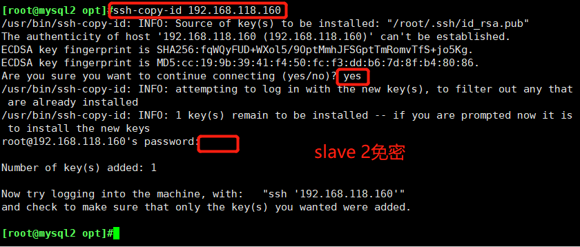Linux Mysql 之 MHA 高可用配置及故障切换实例_linux mha配置文件怎么写-CSDN博客