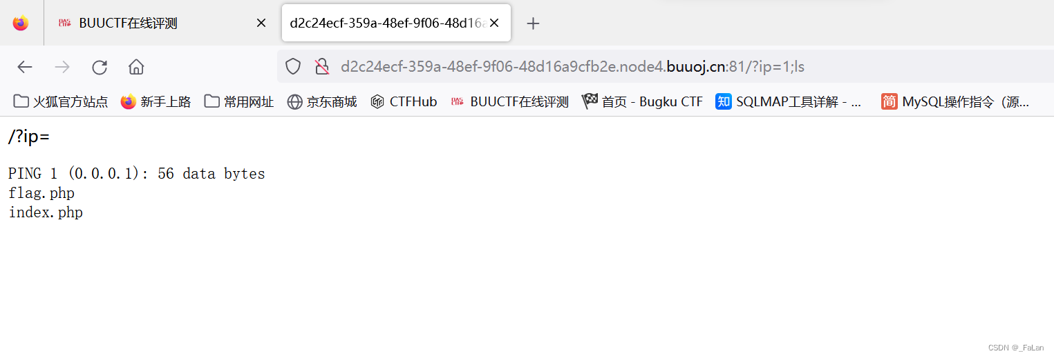 CTF学习第二十一站——BUUCTF的pingpingping与Exec_buuctf的pingpingpung-CSDN博客