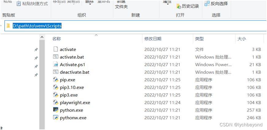 Python虚拟环境 venv下安装playwright_怎么在venv里装东西-CSDN博客