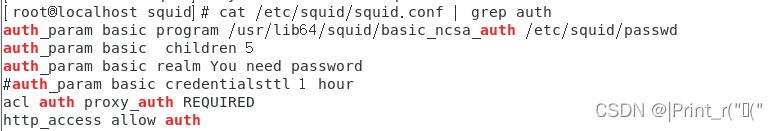 Squid安全认证(基于用户认证)_squid用户认证-CSDN博客