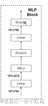no.12 Swin transformer_swin transformer的w-msa-CSDN博客