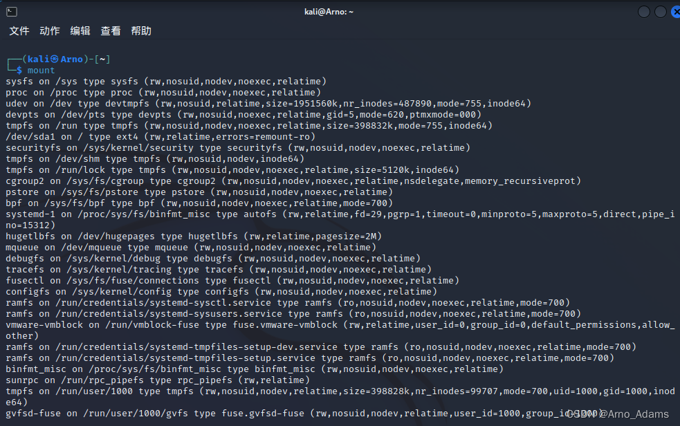 kali Linux学习笔记（基本BASH命令）_kali bash-CSDN博客
