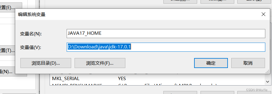 win10 同时安装jdk17和jdk8_安装java17不能使用java1.8-CSDN博客