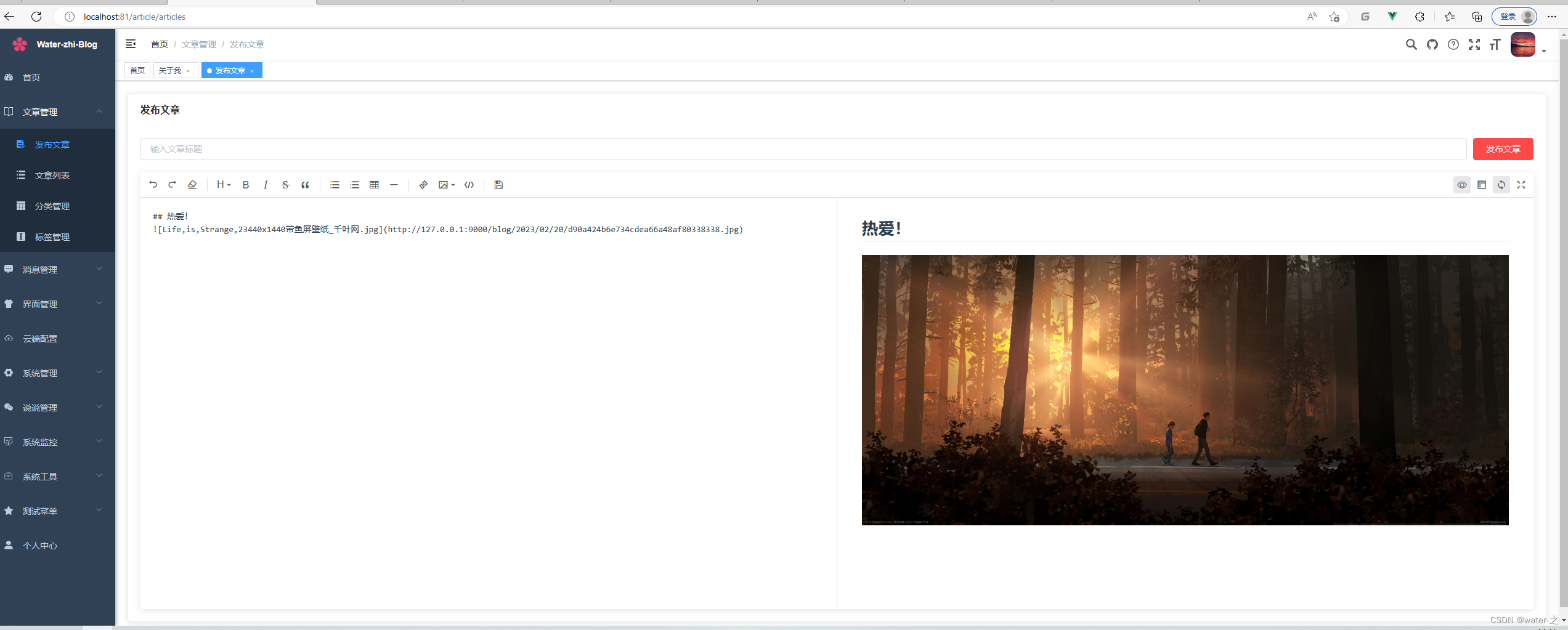 Vue2富文本功能实现的两种方式（v Md Editormavon Editor）v Md Editor上传图片 Csdn博客
