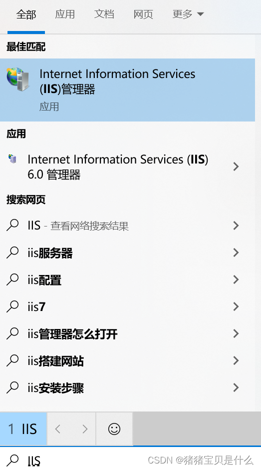 IIS配置_iis怎么检查有没有配全-CSDN博客