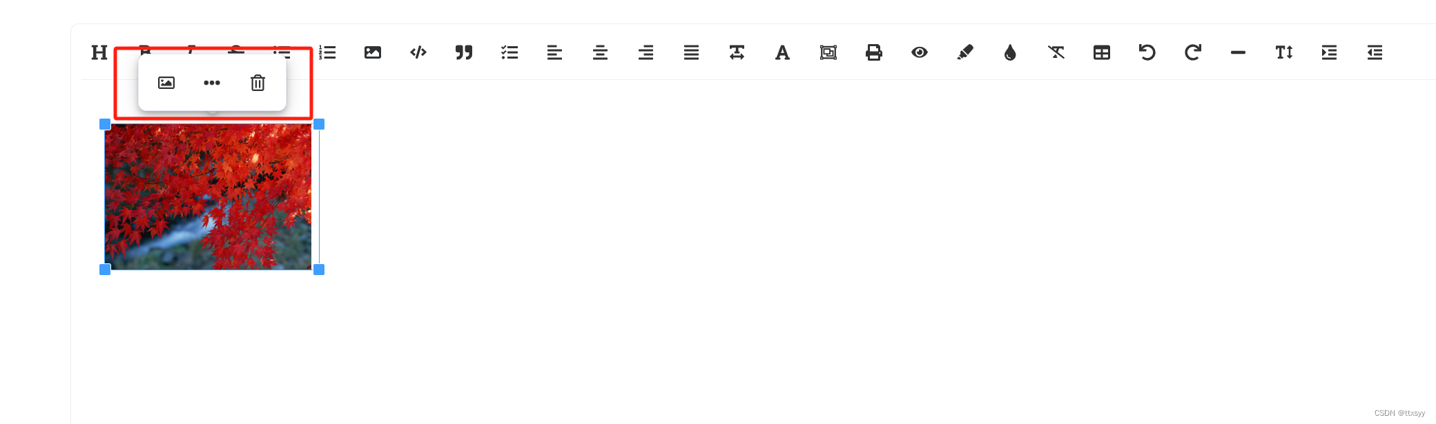 邂逅 Element Tiptapelement Tiptap Editor Csdn博客