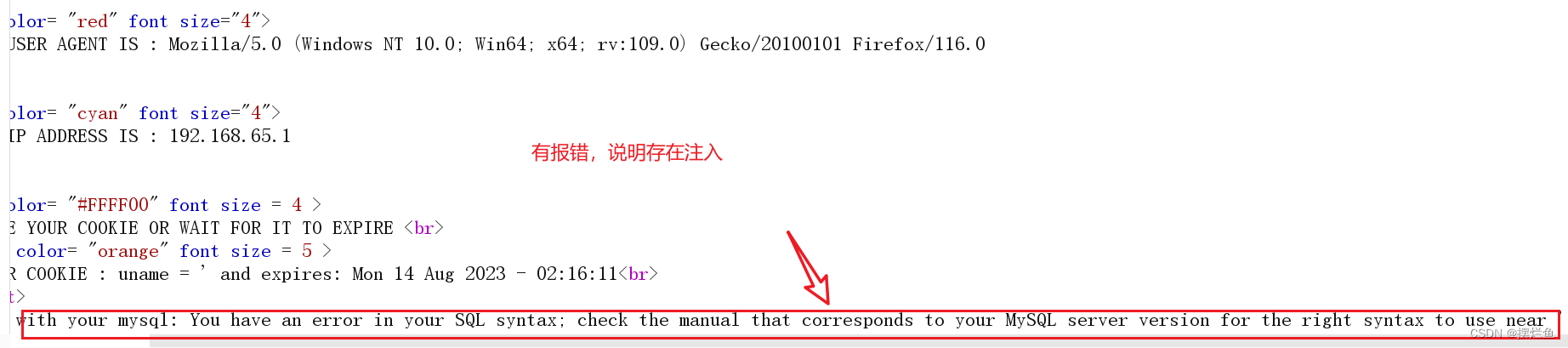 SQL注入之路之八：Cookie注入_cookie sql注入-CSDN博客