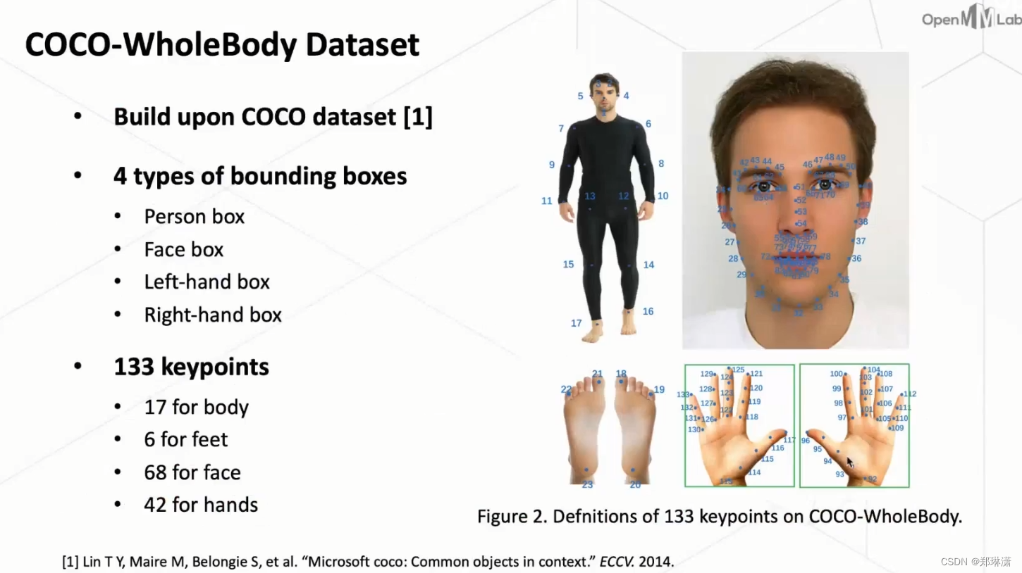 OpenMMlab社区开放麦＜第22期：姿态估计领域的前沿进展＞——笔记_coco-wholebody-CSDN博客