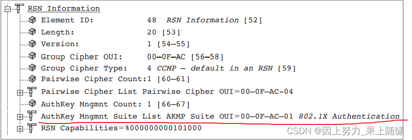 RSN Informatioon Element_rsn information-CSDN博客
