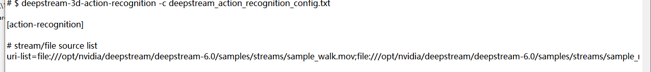 DeepStream 2D 3D action recognition (including File, RTSP input output) - Programmer Sought