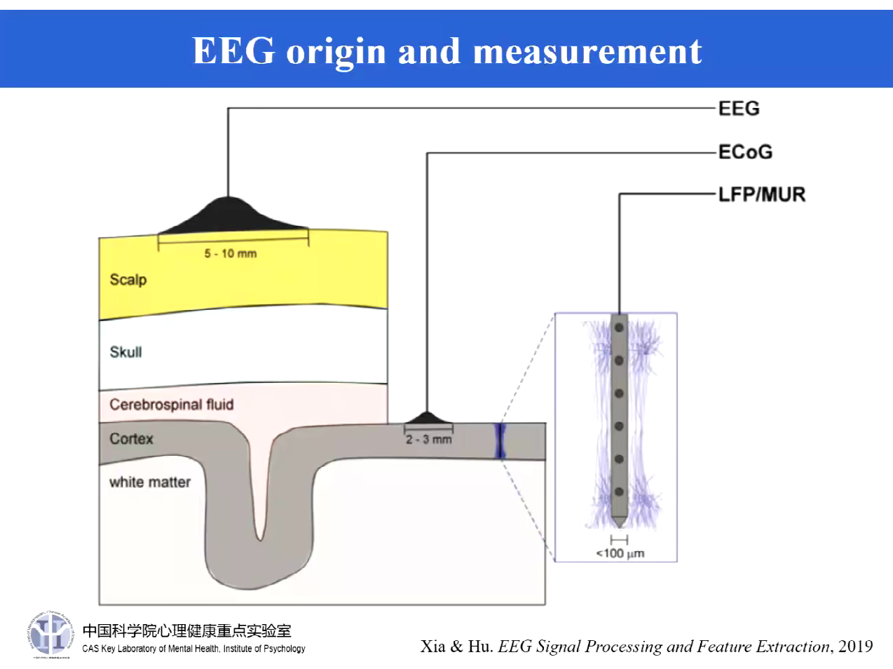 脑电数据分析方法与应用实例简介-EEG Processing and Feature 1-CSDN博客