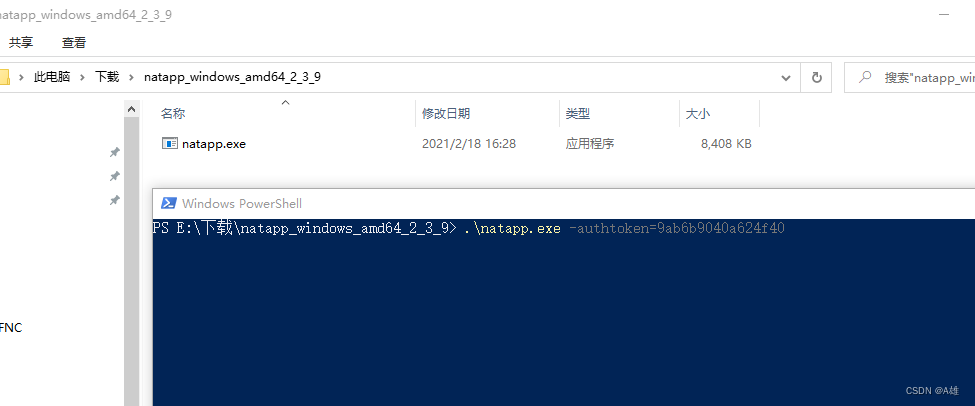 NATAPP内网穿透映射本地MYSQL 3306端口成公网数据库访问_natapp映射mysql-CSDN博客