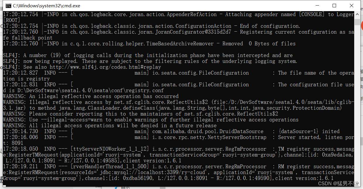 【若依使用seata框架报错】io.seata.common.exception.FrameworkException: No available service-CSDN博客