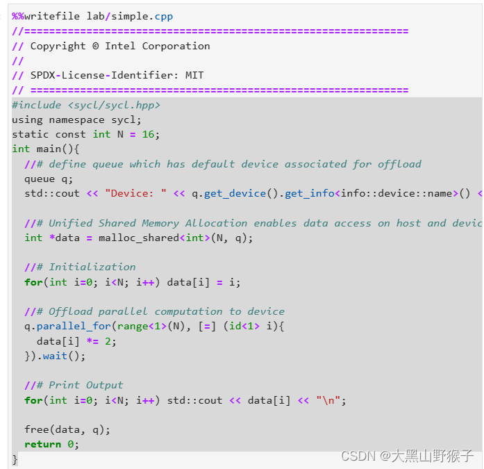 OS补充实验——ONEAPI_one api code nil message-CSDN博客