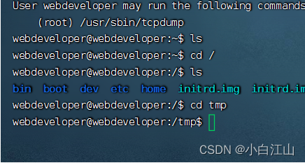 WebDeveloper内网渗透流程（新手流程梳理）_有webconfig如何渗透-CSDN博客