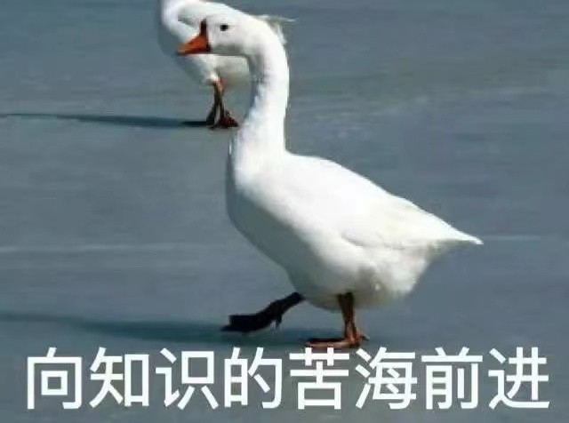 【前端】CSS(3) —— CSS的盒模型与弹性布局-EW帮帮网