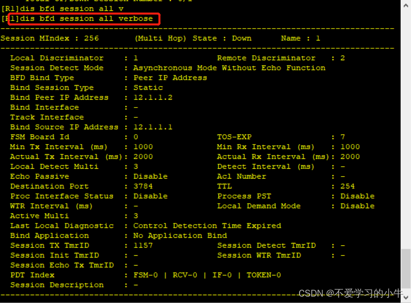 网络精通-BDF（上）静态路由、OSPF调用BDF_bdf协议-CSDN博客