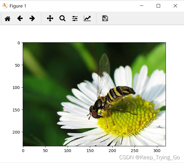 Tensorflow中预处理图像的方法_tensorflow图像预处理-CSDN博客