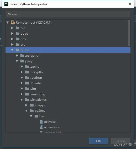 Pycharm连接服务器或者本地虚拟机_pycharm连接虚拟机-CSDN博客