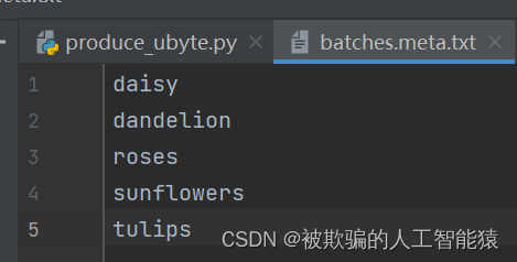 （2023python）非minist数据转类FashionMNIST数据集(1)_如何将图片处理成fashionmnist一样的格式-CSDN博客