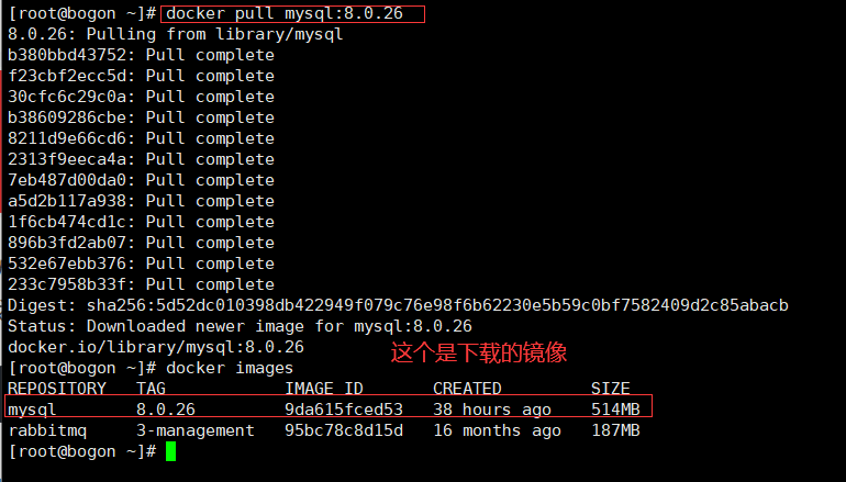 Docker部署MySQL8并使用Navicat建立连接（原创 超详细 可行）_docker mysql8 navicat-CSDN博客