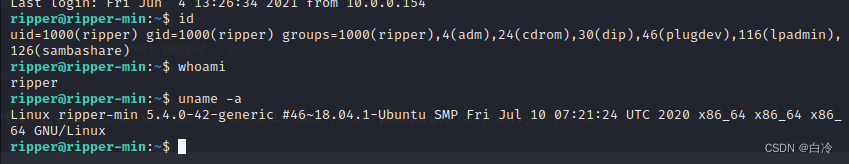 Ripper靶机之内部系统泄漏、Webmin、rips系统等漏洞利用；Metasploit、CVE-2021-3493等使用方法_rips使用-CSDN博客