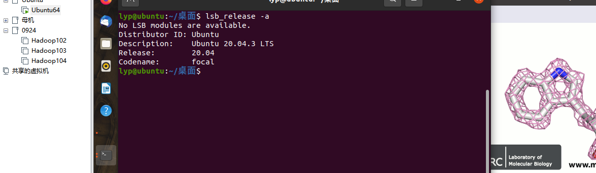 Relion-3.1.3 编译安装-CSDN博客