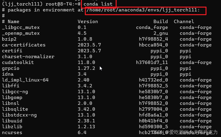 学校服务器安装cuda版本的pytorch+DGL（联网+上传）+安装apex；CUDA out；使用wandb；Error: lib；服务器安装torch_geom；miniconda的安装 ...